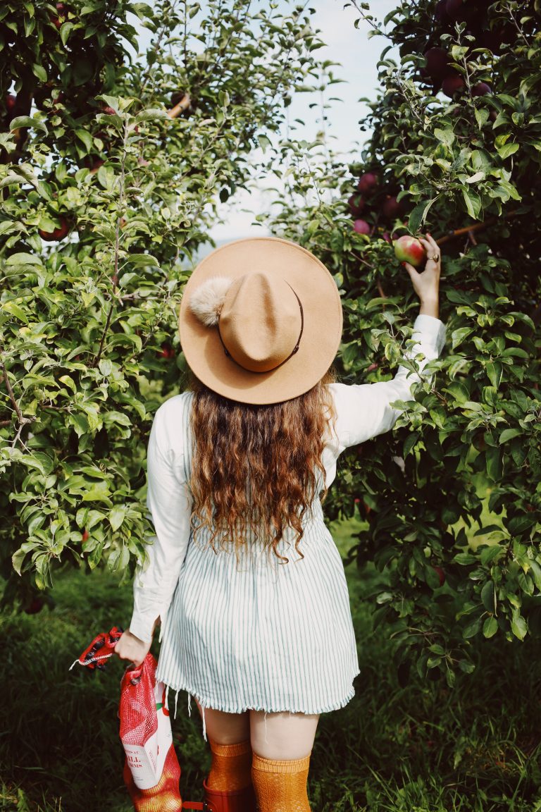 fall apple picking outfit! - Noelle's Favorite Things