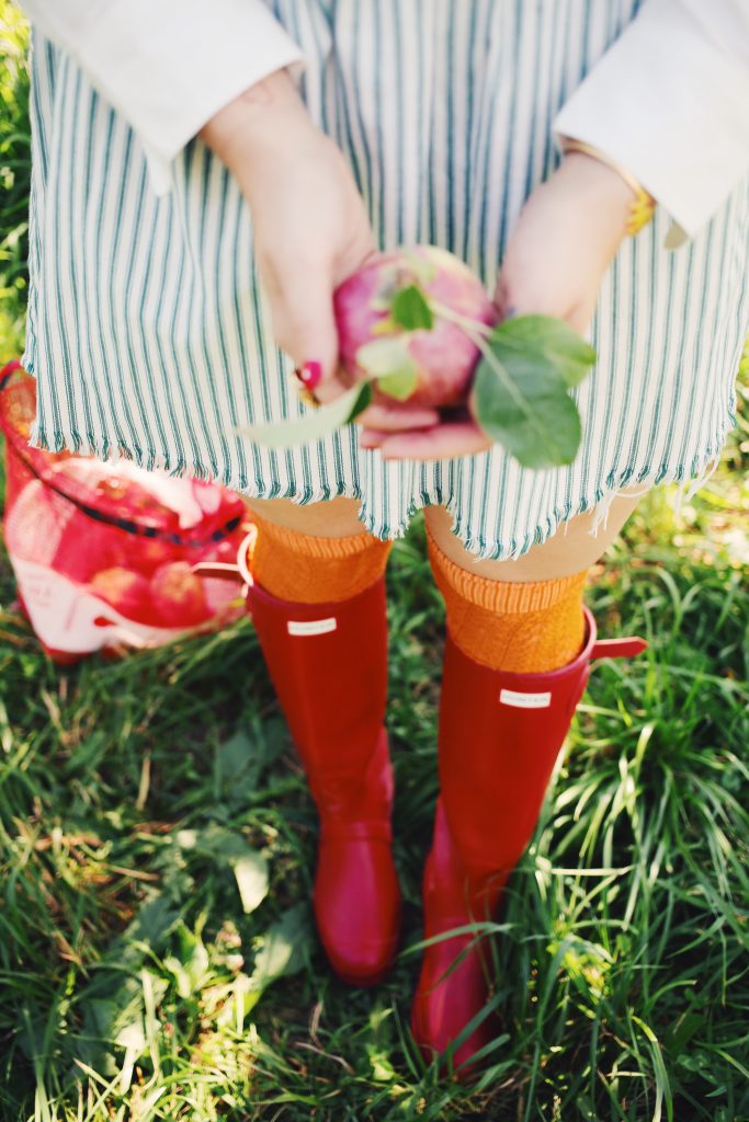 fall apple picking outfit! - Noelle's Favorite Things
